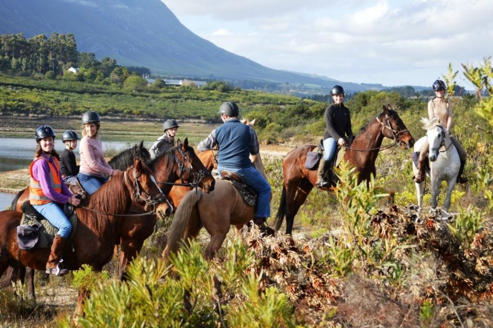 Hermanus Adventures - Specialized Adventure