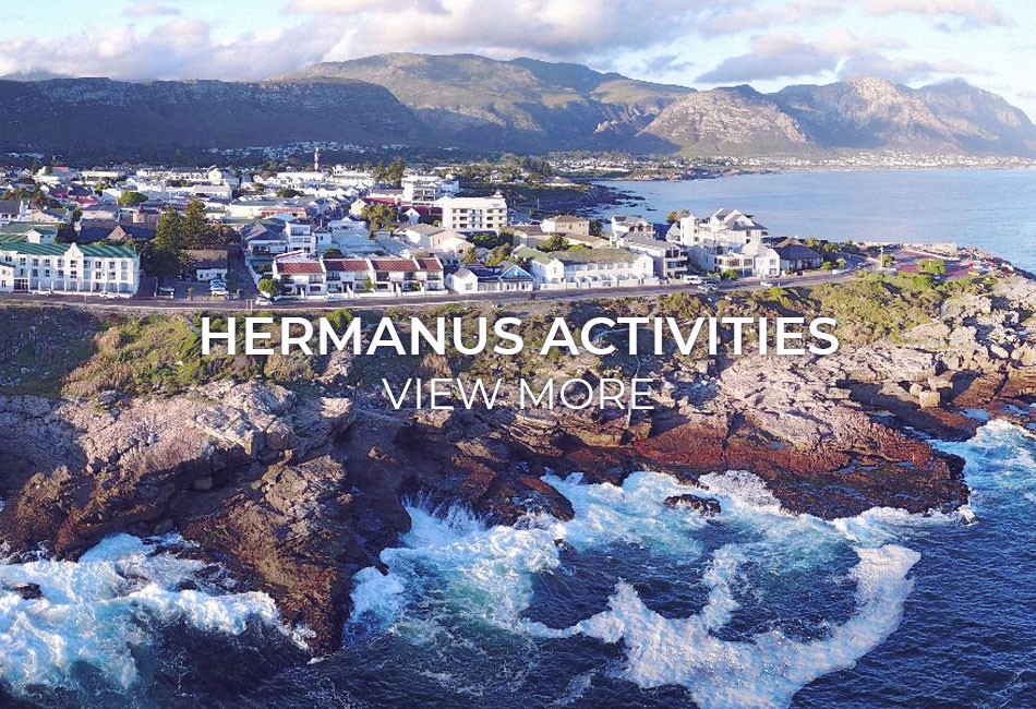 Specialized Adventure | For all your adventure needs.