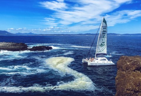 Hermanus Adventures - Specialized Adventure